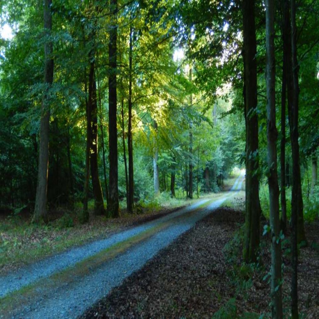 Promenades | Office Tourisme Gedinne