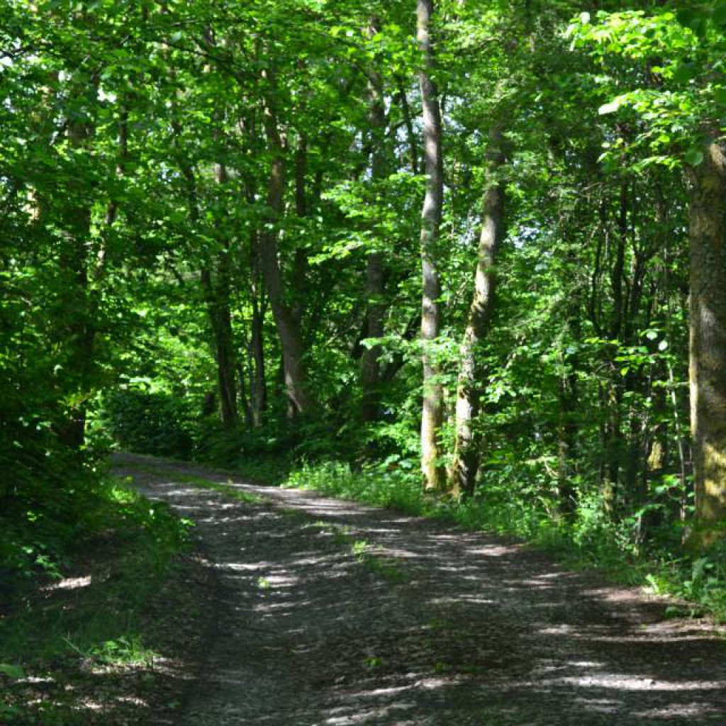 Promenades | Office Tourisme Gedinne