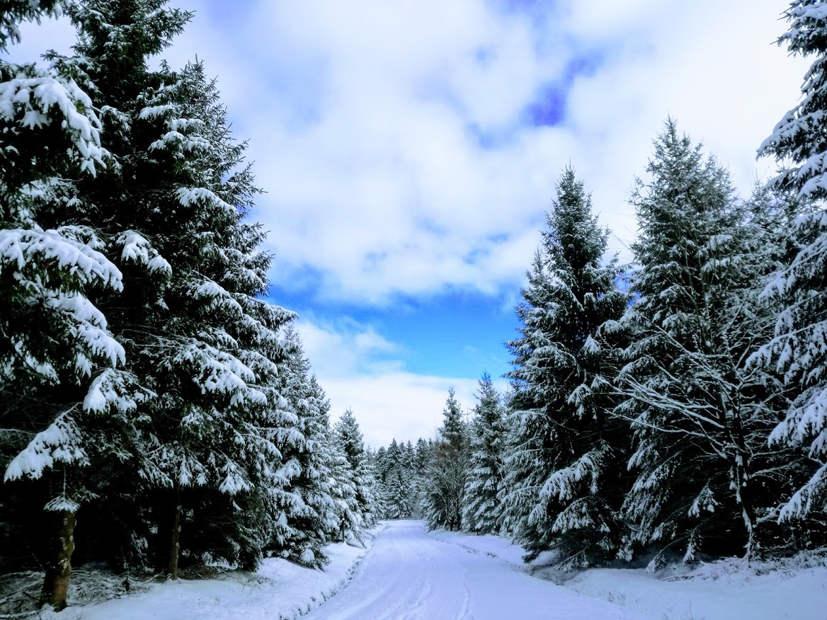 Promenades | Office Tourisme Gedinne