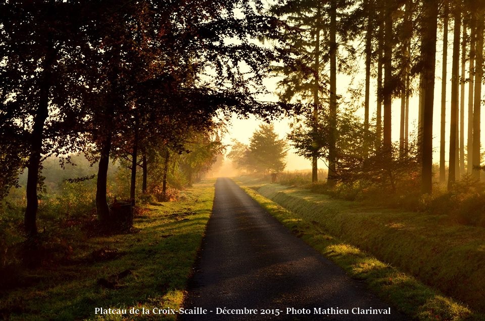Promenades | Office Tourisme Gedinne