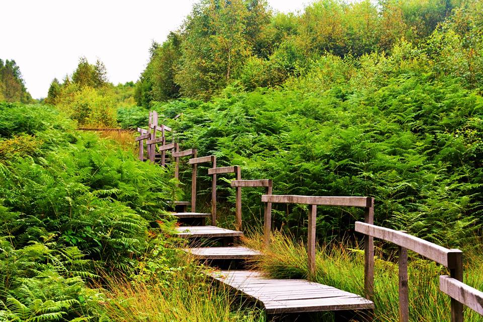 Promenades | Office Tourisme Gedinne