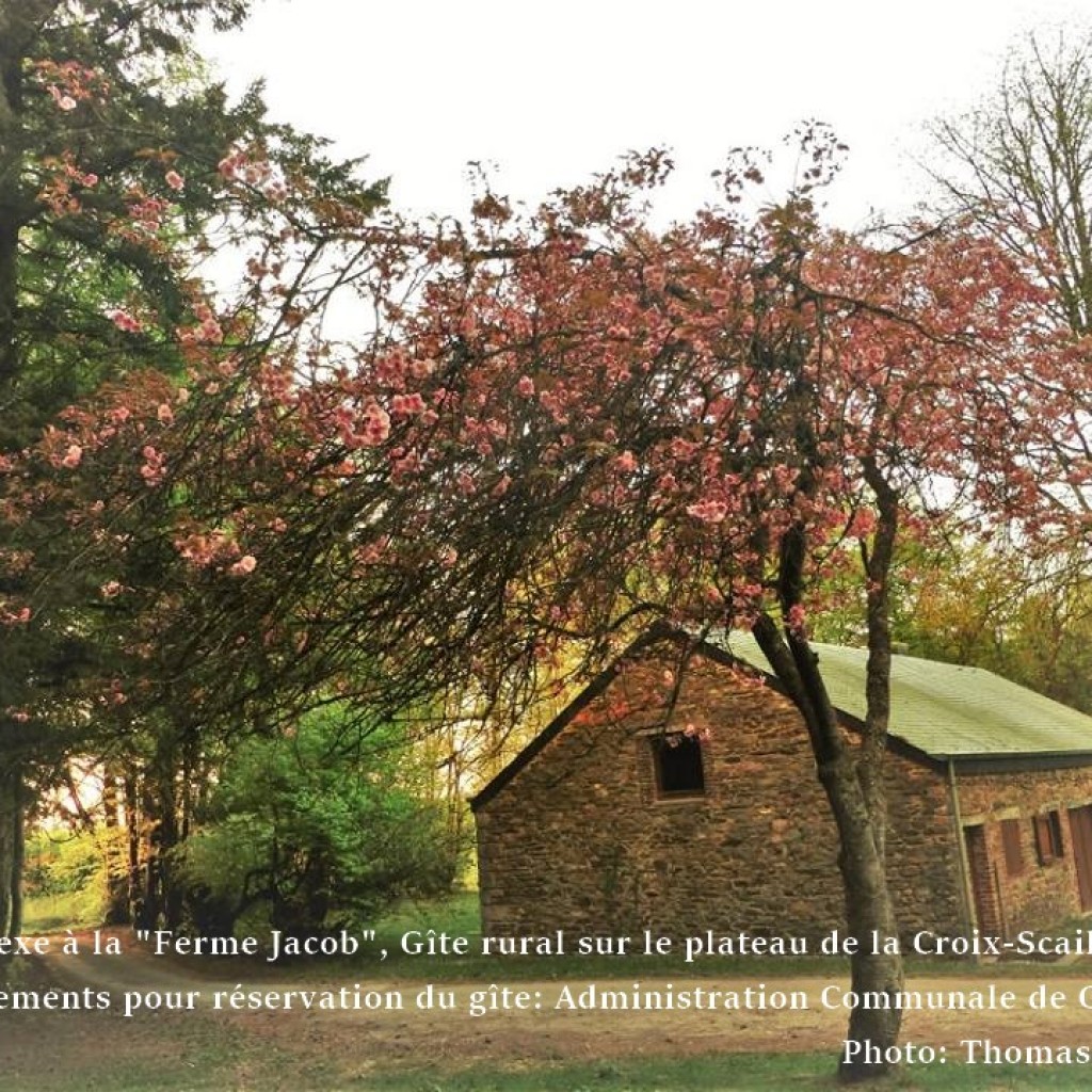 Promenades | Office Tourisme Gedinne